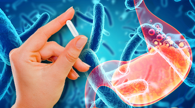 The Best Probiotic Strain for Healthy Gut Bacteria