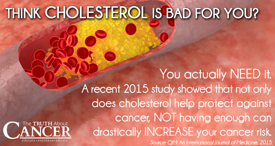 The Truth About Cholesterol, Statin Drugs, and Cancer