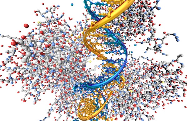 Discover the P53 Gene that Controls Cancer Development