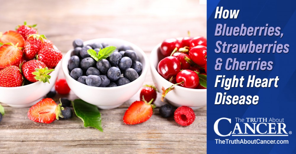 UK Health Security Agency warns parents ... | DayBreakWeekly UK